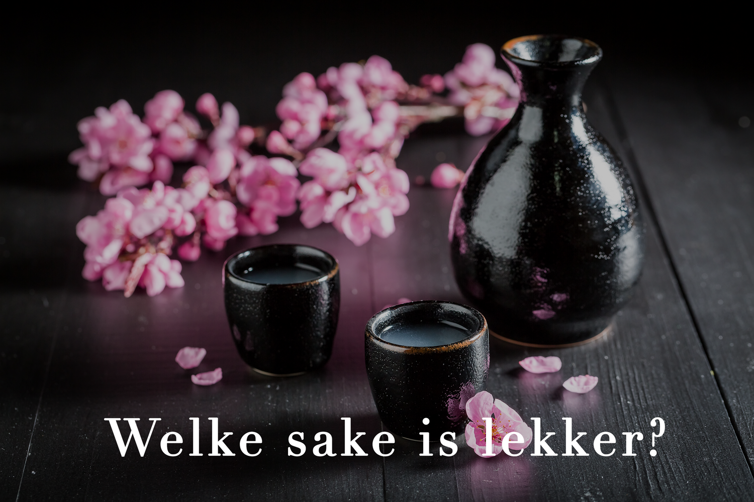 Wat is Sake en welke Sake is nu echt lekker? – Dechering Dessertwijnen